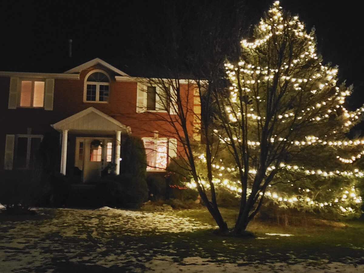Christmas Light Installation - Lighthouse Windows and Cleaning Services