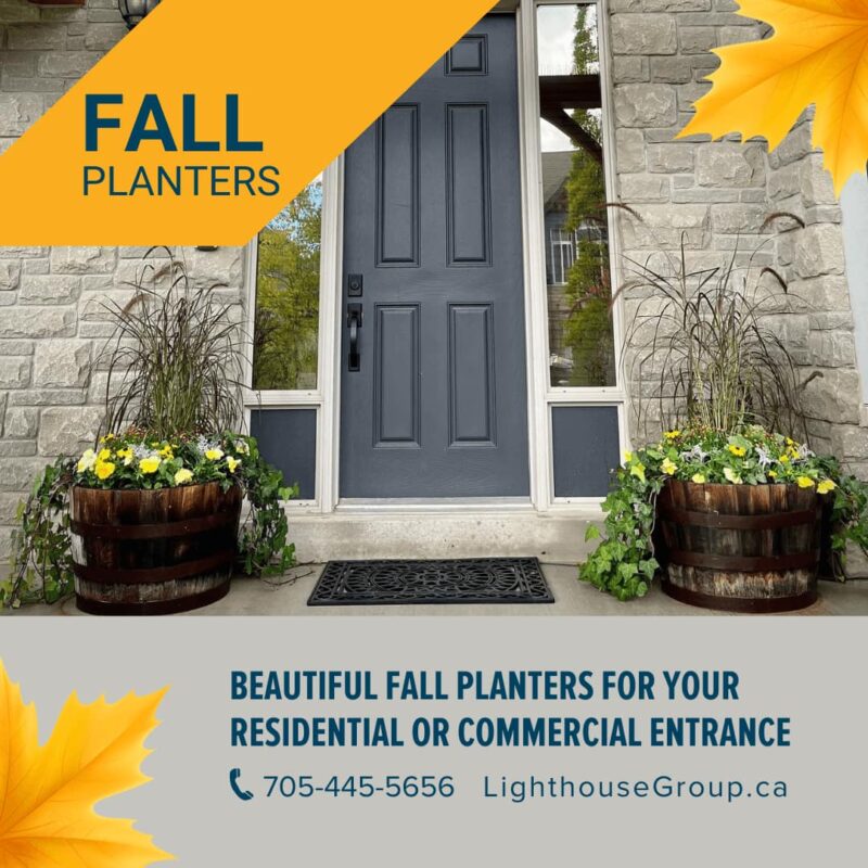 Cleaning Services - Lighthouse Windows and Cleaners