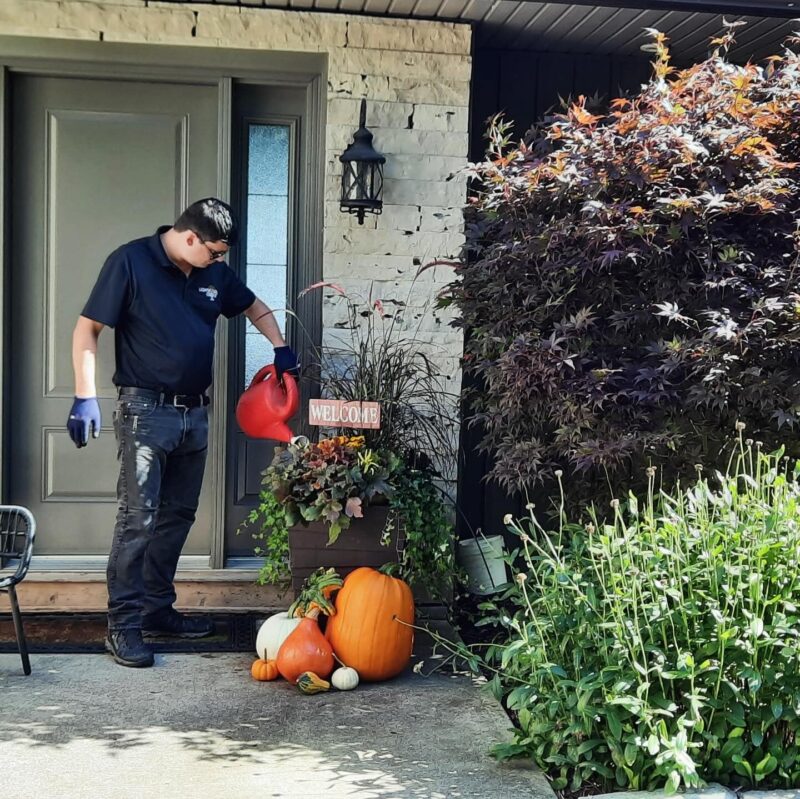 Cleaning Services - Lighthouse Windows and Cleaners